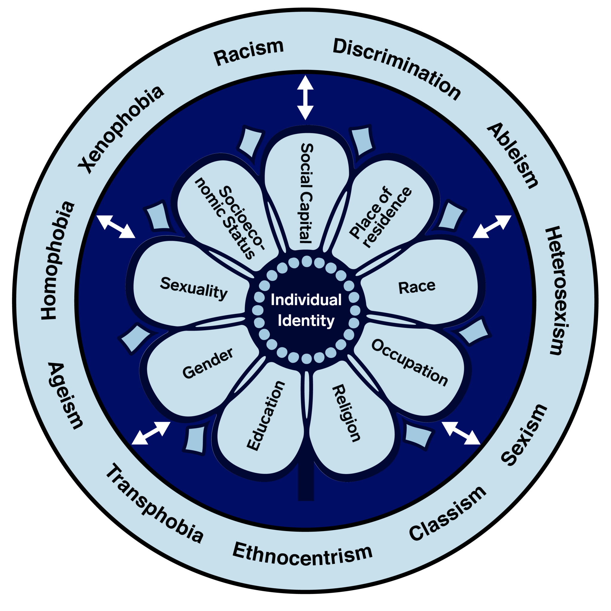 Our Impact - Knowledge Translation Program