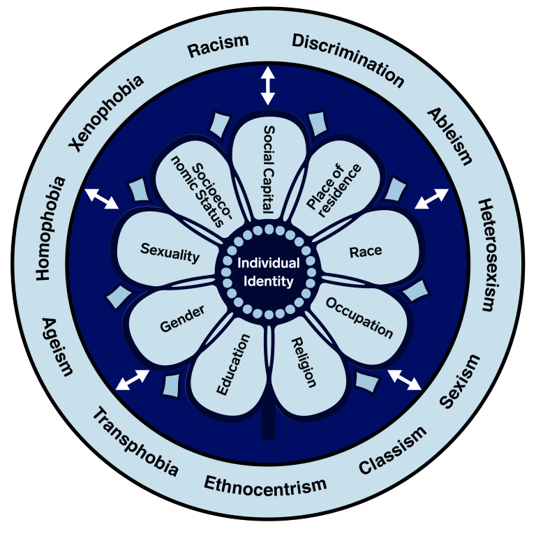 Our Impact - Knowledge Translation Program